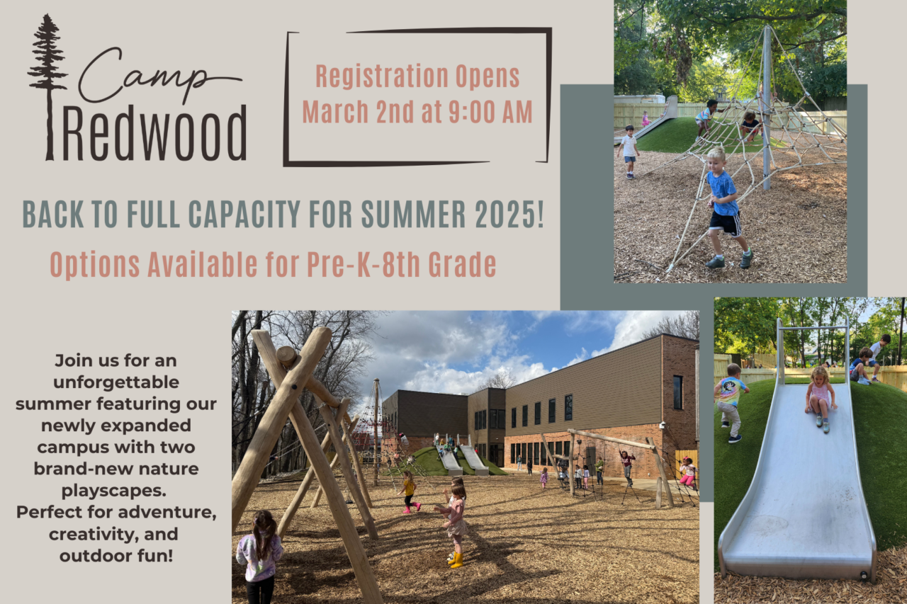 Camp Redwood | Summer Program | Redwood Cooperative School